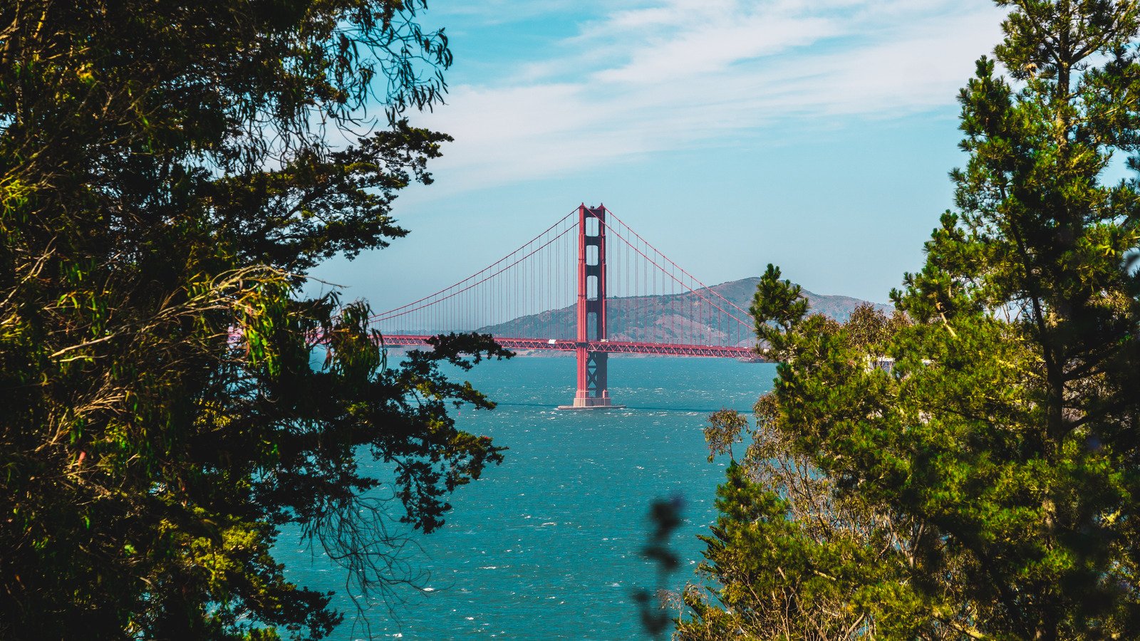 Golden Gate Park: More Than Just a Pretty Picture - themagicaltrips